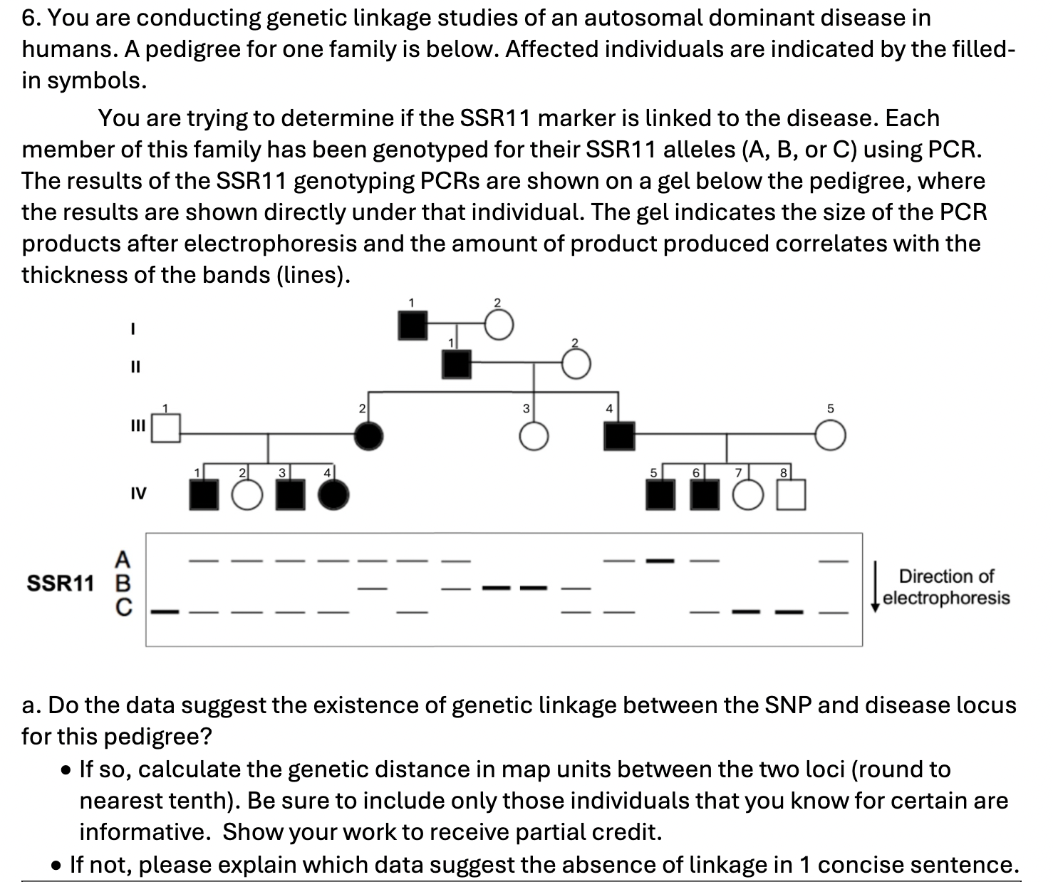 Solved You are conducting genetic linkage studies of an | Chegg.com
