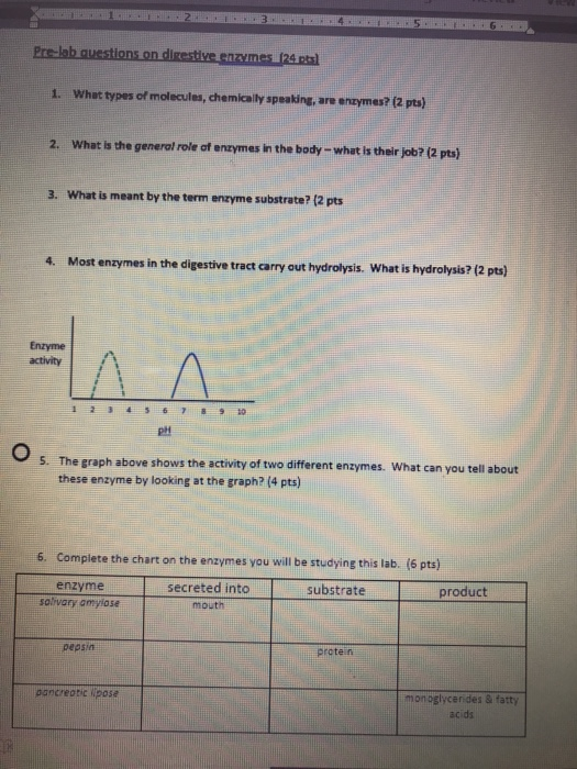 Pre-lab questions on dixestive enzymes (24 pts) 1. | Chegg.com