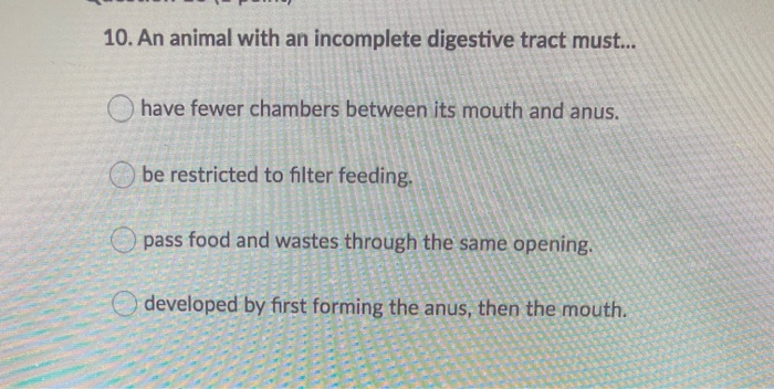 Solved 10. An animal with an incomplete digestive tract | Chegg.com