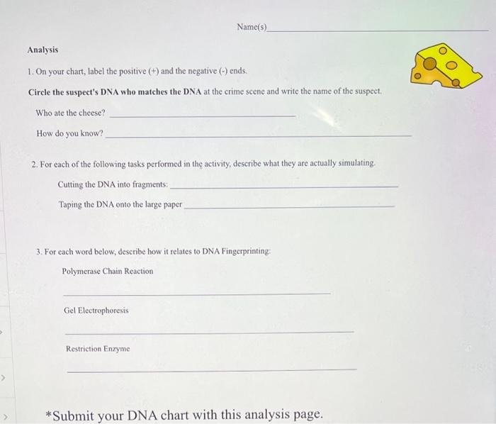 Solved Who Ate the Cheese?! Objectives: In this simulation | Chegg.com