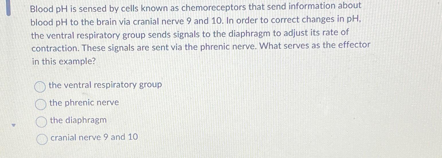 Solved Blood pH ﻿is sensed by cells known as chemoreceptors | Chegg.com