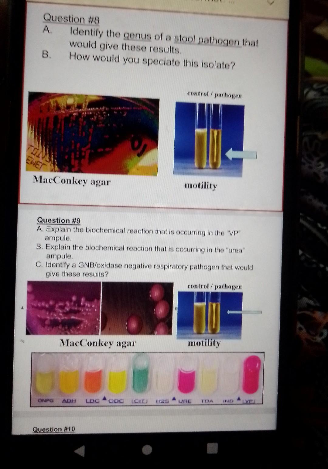 Solved Question #1 A B C D E Nitrate reagent A & B has been | Chegg.com