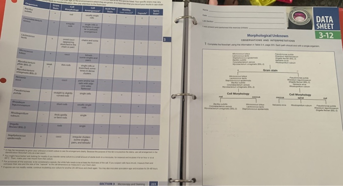Solved DATA SHEET 3-12 Morphological Unknown OBSERVATIONS | Chegg.com