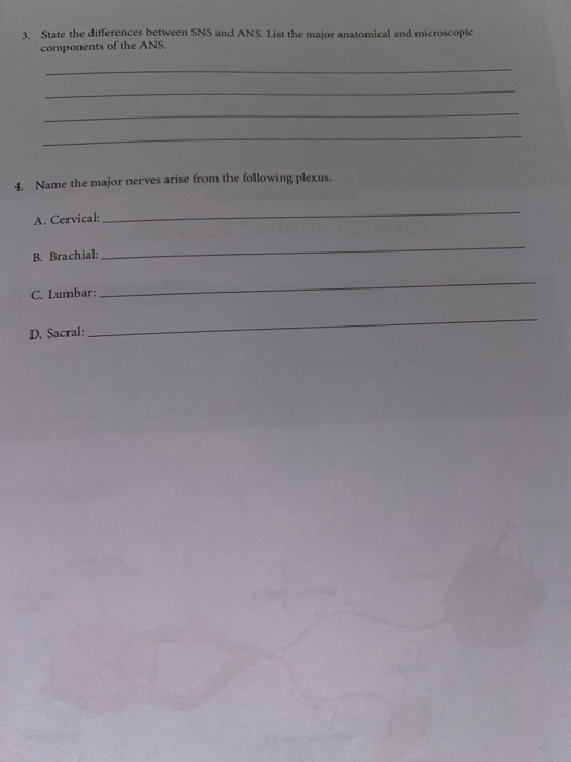 Solved 3. State the differences between SNS and ANS. List | Chegg.com