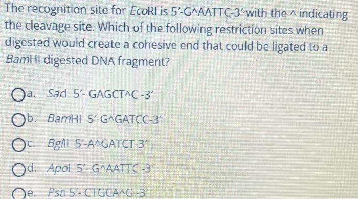 Solved The recognition site for EcoRI is 5'-G^AATTC-3' with | Chegg.com