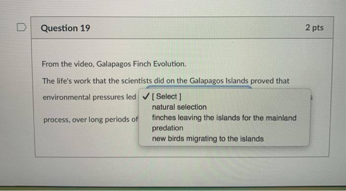 Solved Question 18 1 pts From the video, Galapagos Finch | Chegg.com