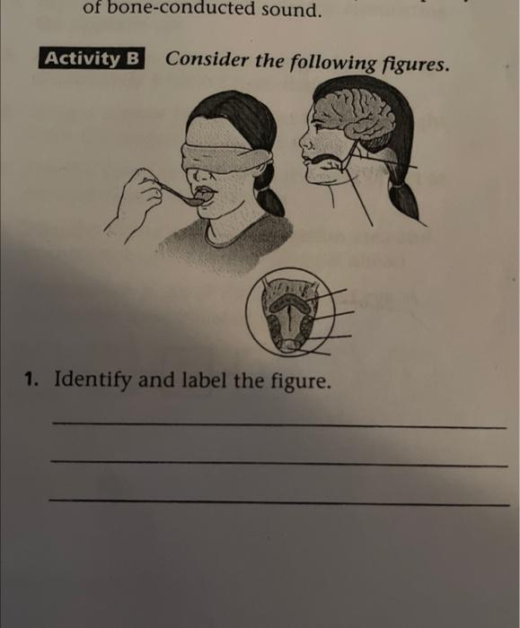 Solved of bone-conducted sound. Consider the following | Chegg.com