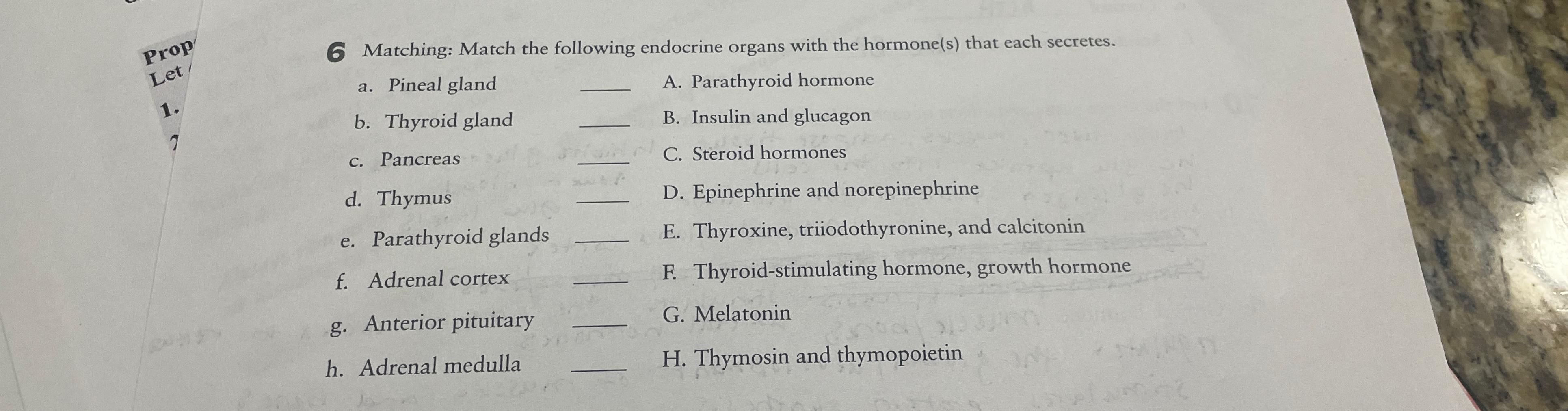 Solved 6 ﻿Matching: Match the following endocrine organs | Chegg.com