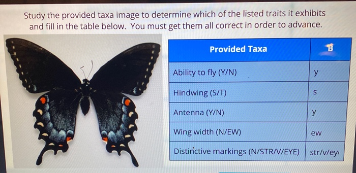 Solved Study the provided taxa image to determine which of | Chegg.com Solved Study the provided taxa image to determine which of | Chegg.com