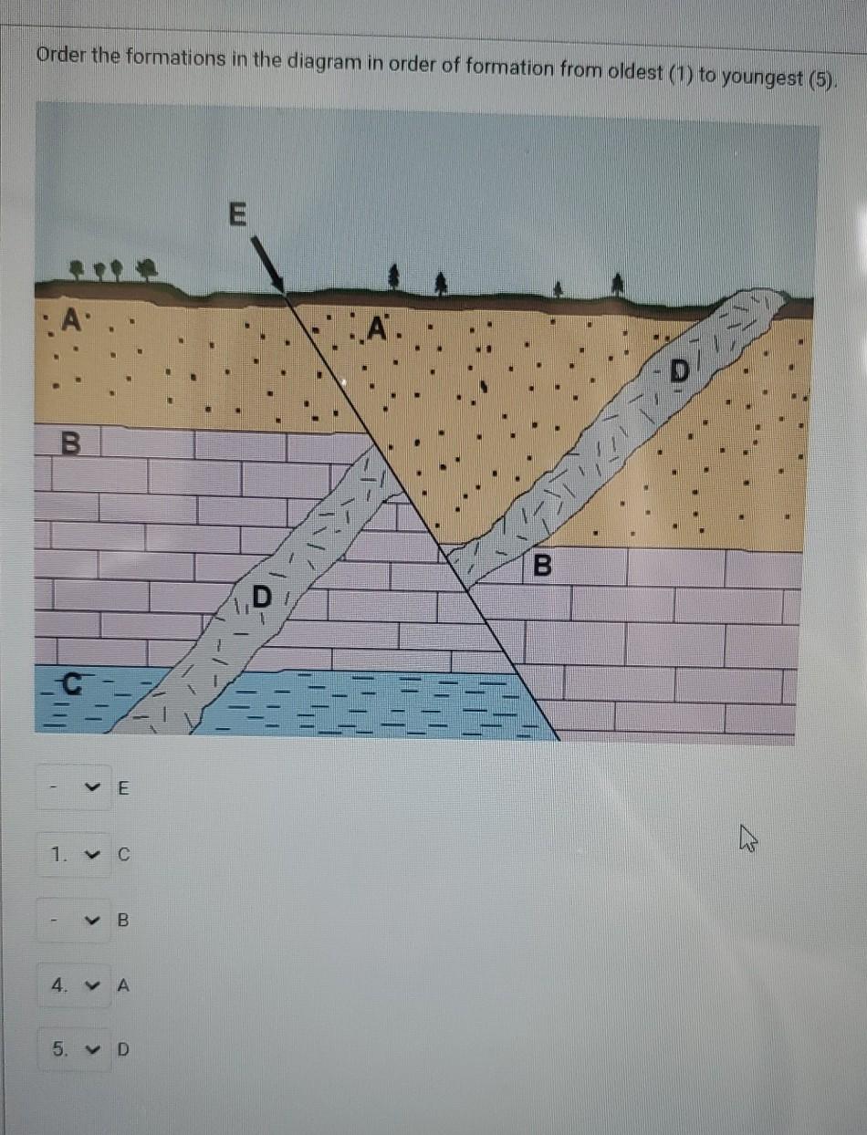 Solved Order the formations in the diagram in order of | Chegg.com