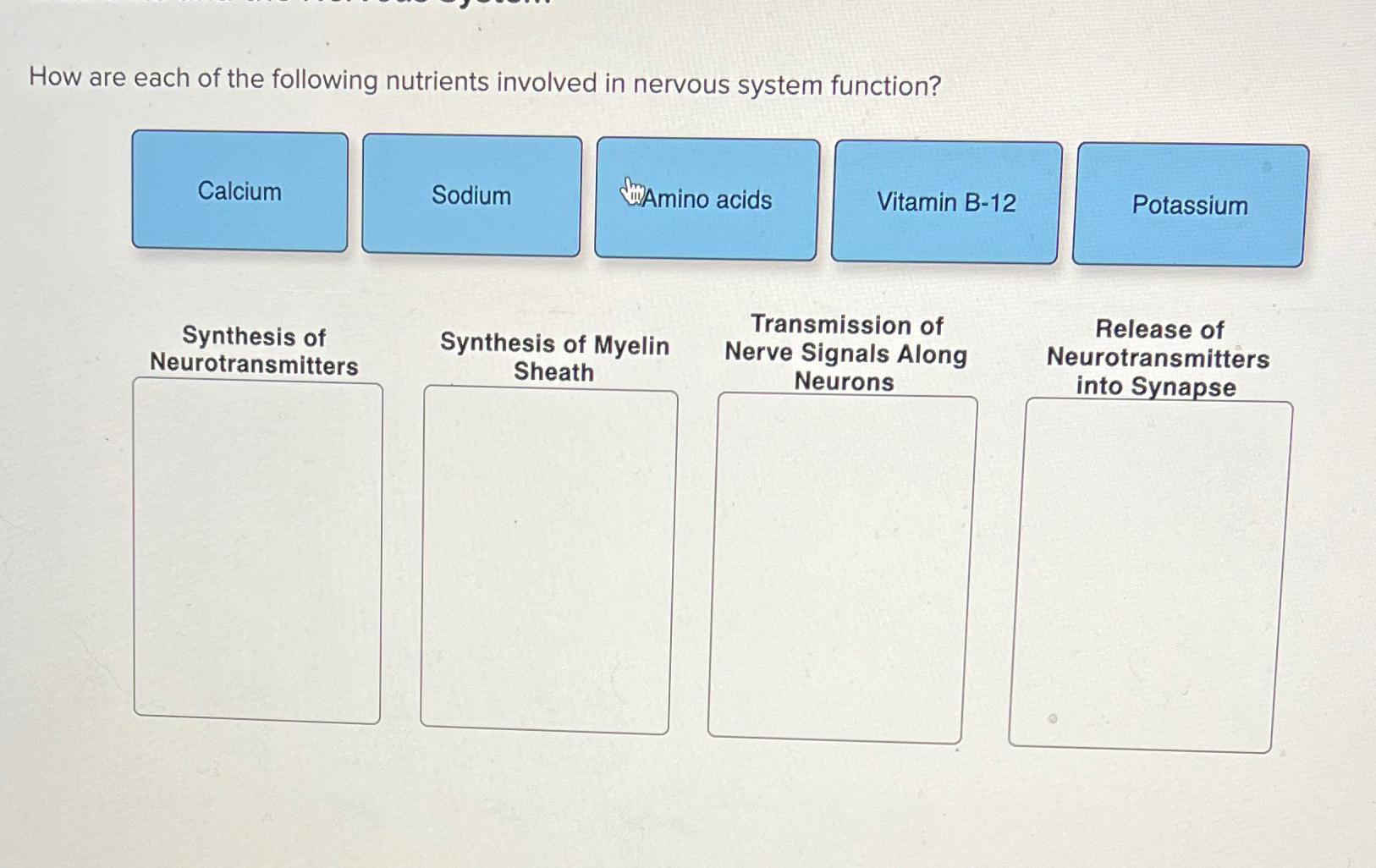 Solved How are each of the following nutrients involved in | Chegg.com
