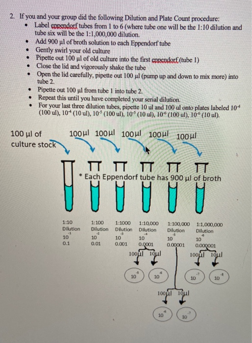Solved LW5_microbiology lab 5_ exercise on counting | Chegg.com