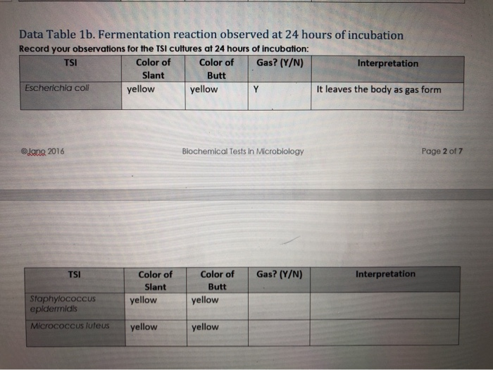 Data Table 1a. Fermentation reaction observed at 12 | Chegg.com