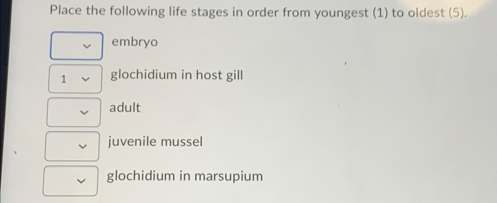 Solved Place the following life stages in order from | Chegg.com