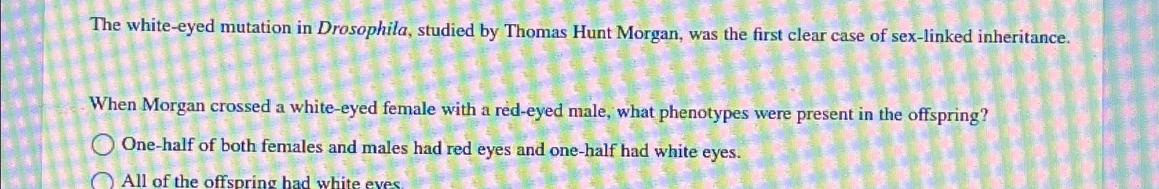 The white-eyed mutation in Drosophila, studied by | Chegg.com