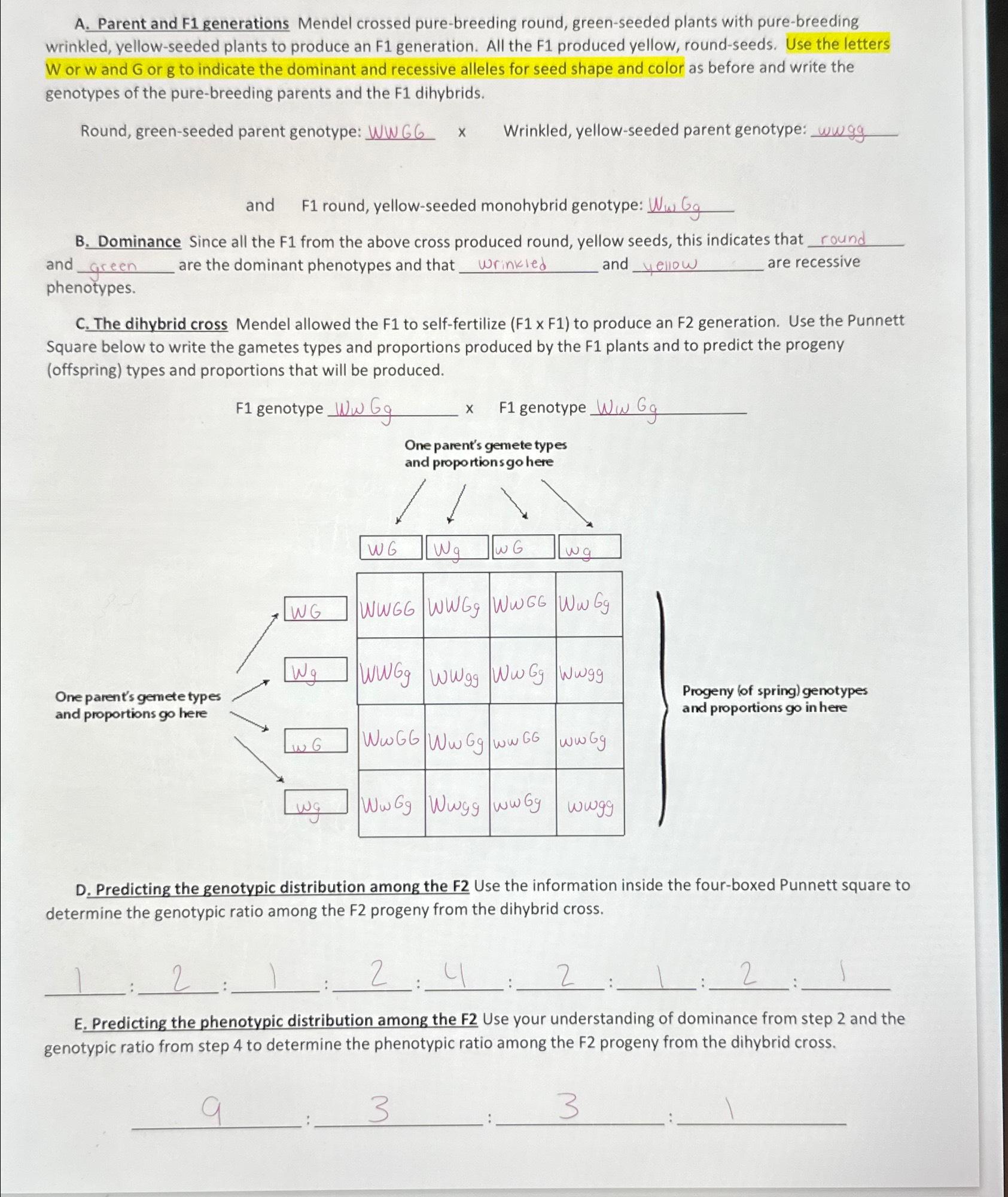Solved A. ﻿Parent and F1 ﻿generations Mendel crossed | Chegg.com