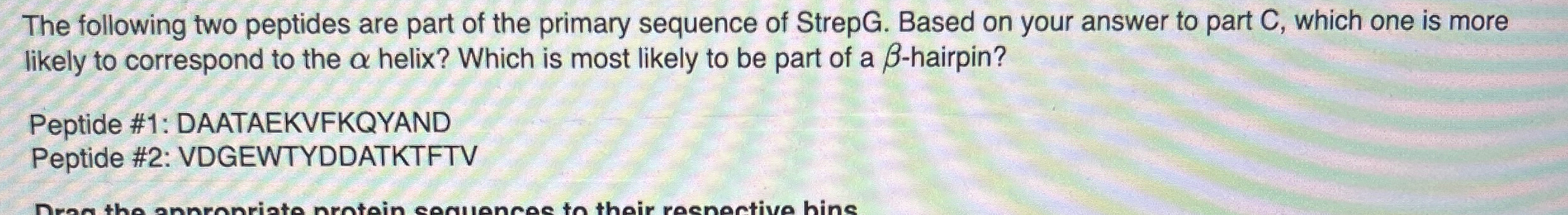 Solved The following two peptides are part of the primary | Chegg.com