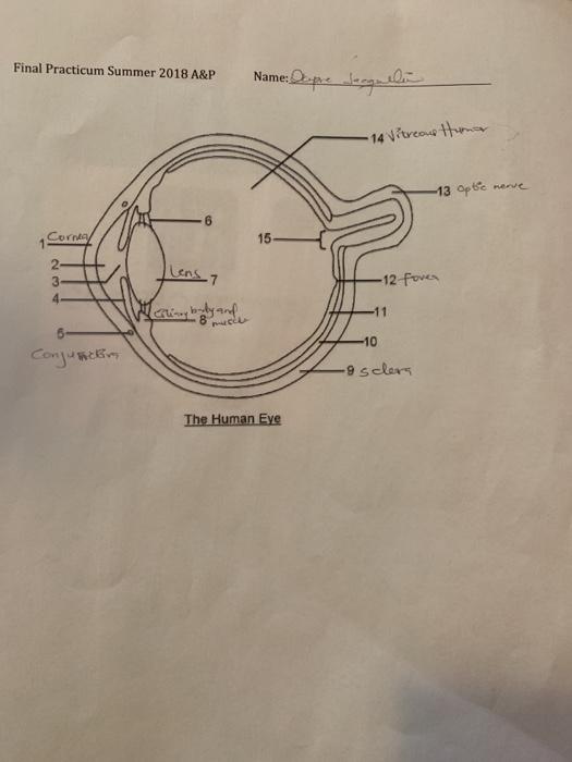 Solved 8 ན་མད། Smer 2018 ASP Fire Protinum Summer 2018 Nam | Chegg.com
