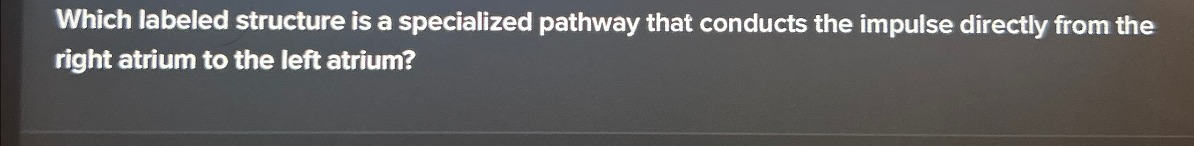 Solved Which labeled structure is a specialized pathway that | Chegg.com