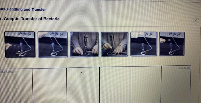 Solved MicroLab Tutor: Aseptic Transfer of Bacteria Arrange | Chegg.com