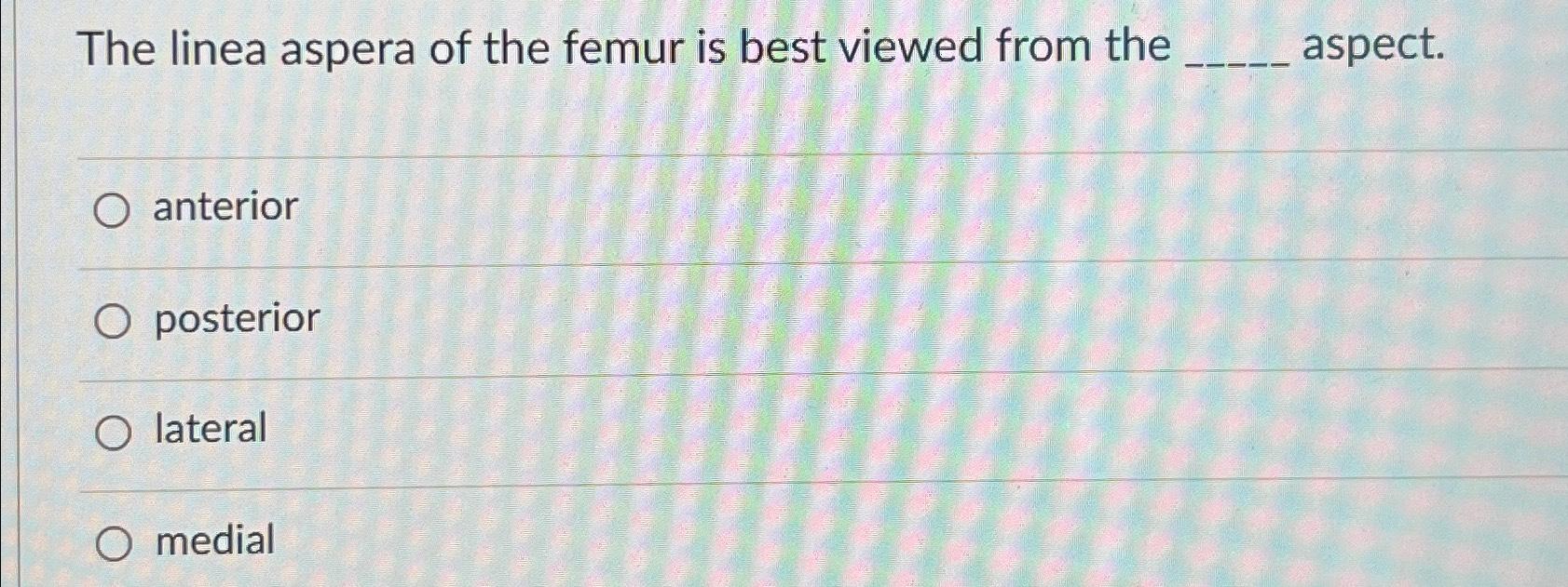 Solved The linea aspera of the femur is best viewed from the | Chegg.com