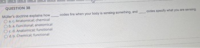 Solved QUESTION 38 Müller's doctrine explains how codes fire | Chegg.com