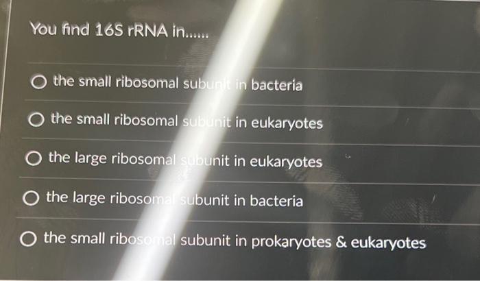 Solved You find rRNA in...... the small ribosomal subunit in | Chegg.com