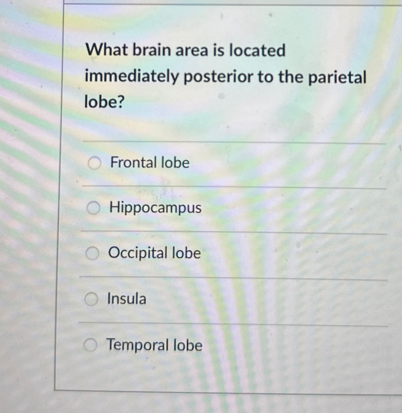 Solved What brain area is located immediately posterior to | Chegg.com
