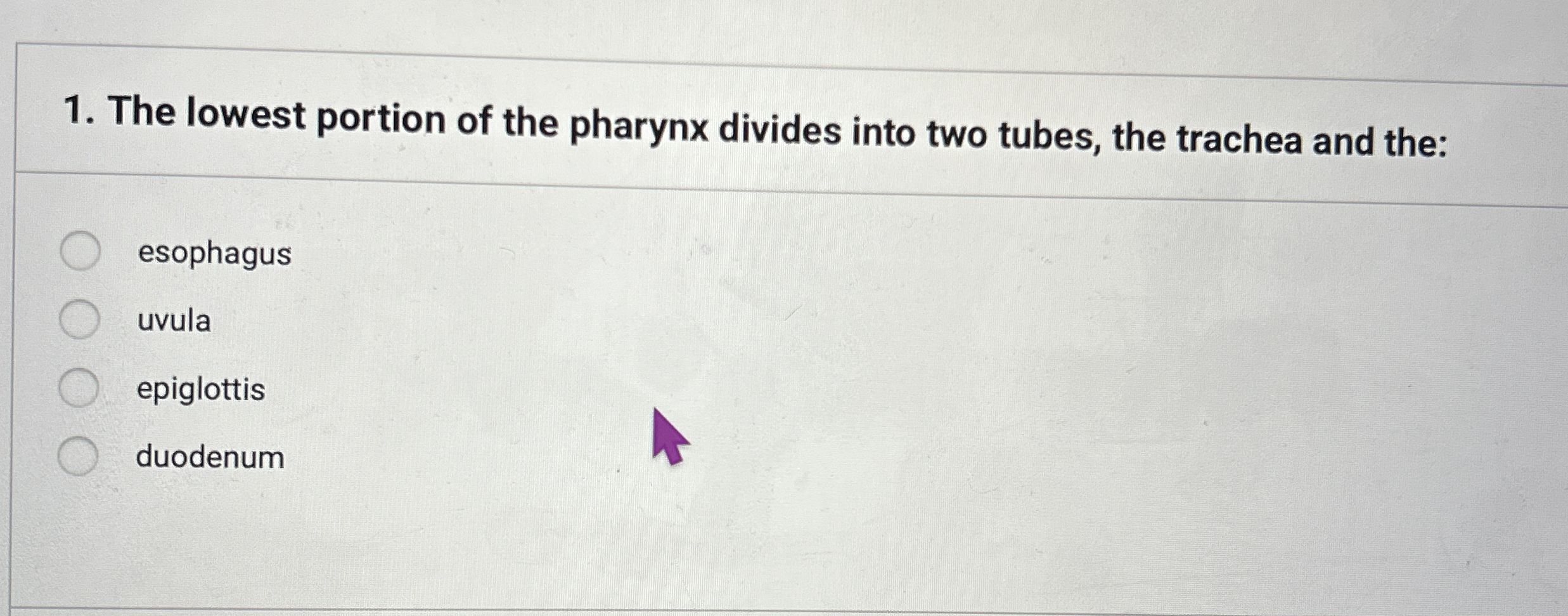 Solved The lowest portion of the pharynx divides into two | Chegg.com