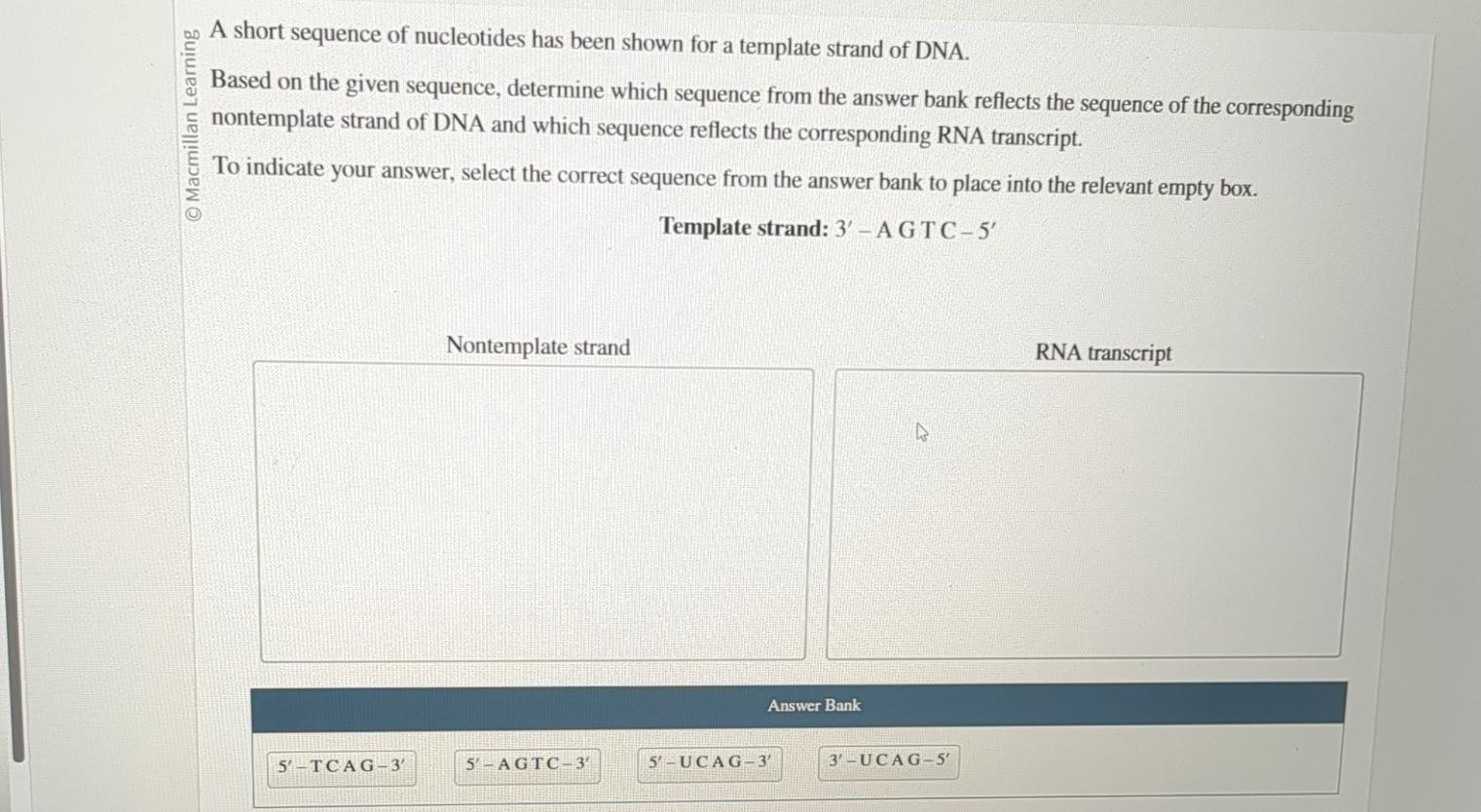 Solved A short sequence of nucleotides has been shown for a | Chegg.com