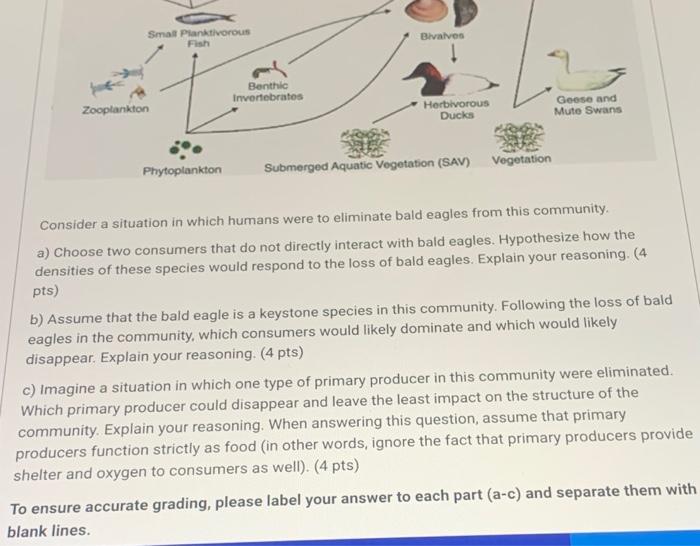 Solved 12 pts Question 29 The food web below describes the | Chegg.com