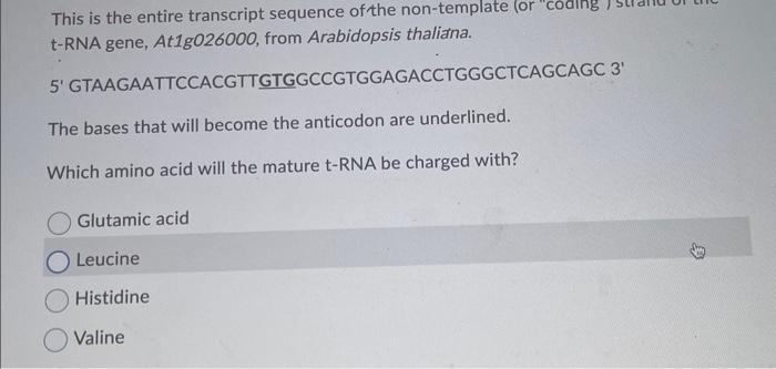 Solved This is the entire transcript sequence of the | Chegg.com