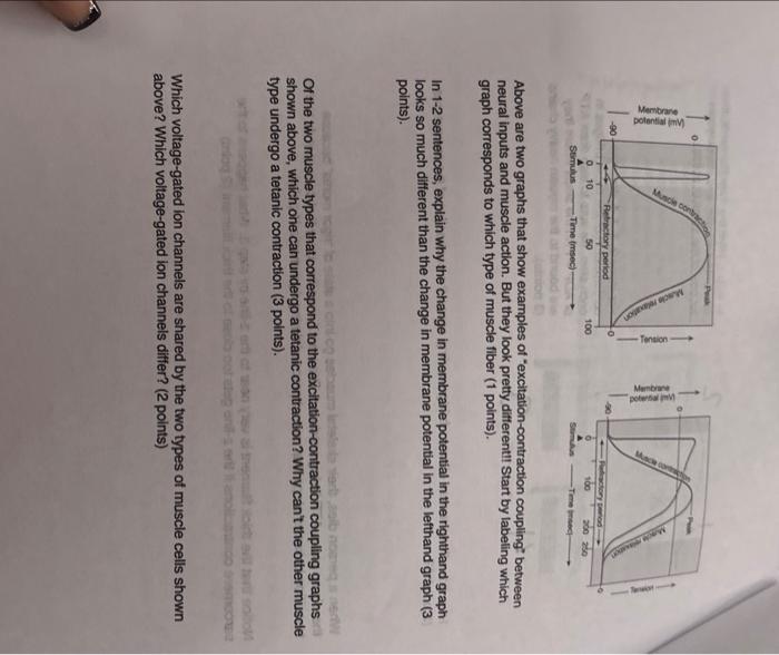Solved Above are two graphs that show examples of | Chegg.com