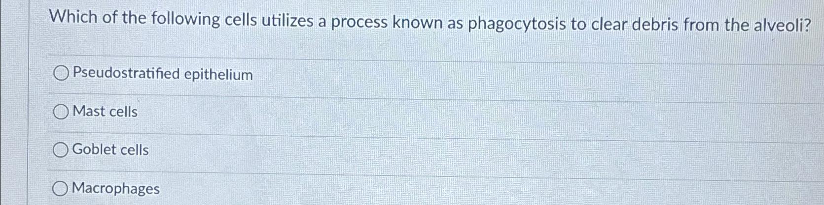 Solved Which of the following cells utilizes a process known | Chegg.com