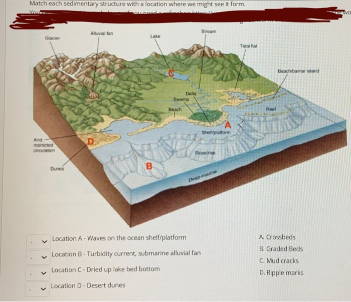 Solved Match each sedimentary structure with a location | Chegg.com
