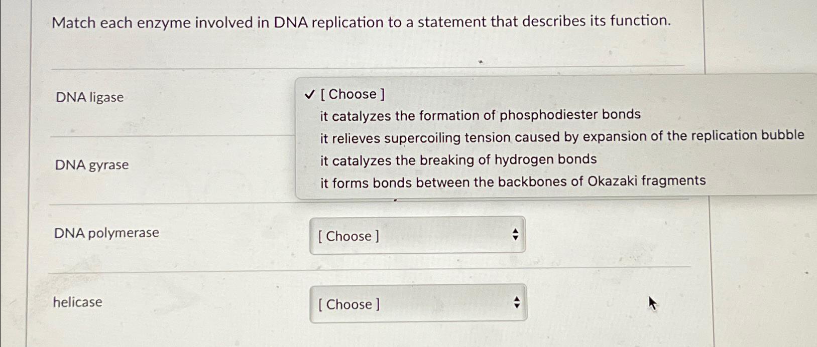 Solved Match each enzyme involved in DNA replication to a | Chegg.com