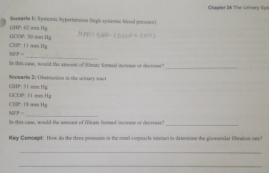 Solved Calculate it: The NFP Calculate the net filtration | Chegg.com