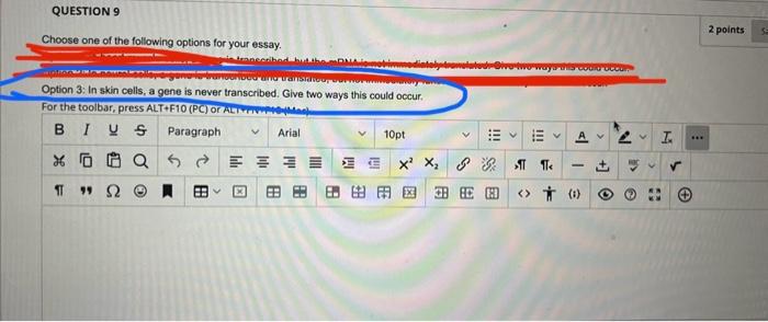 Solved Choose one of the following options for your essay. | Chegg.com