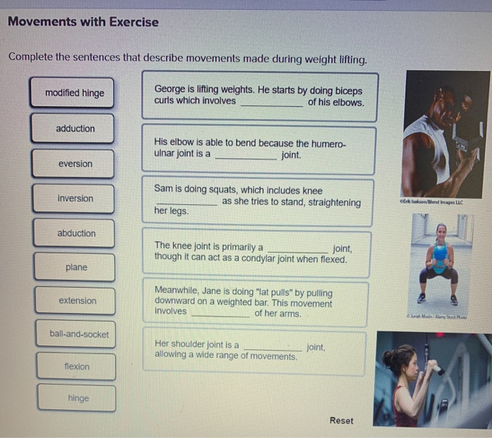Solved Movements with Exercise Complete the sentences that | Chegg.com