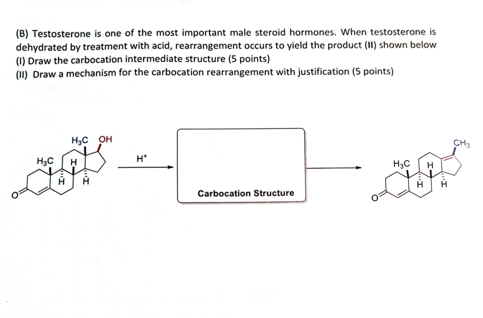 Solved (B) ﻿Testosterone is one of the most important male | Chegg.com