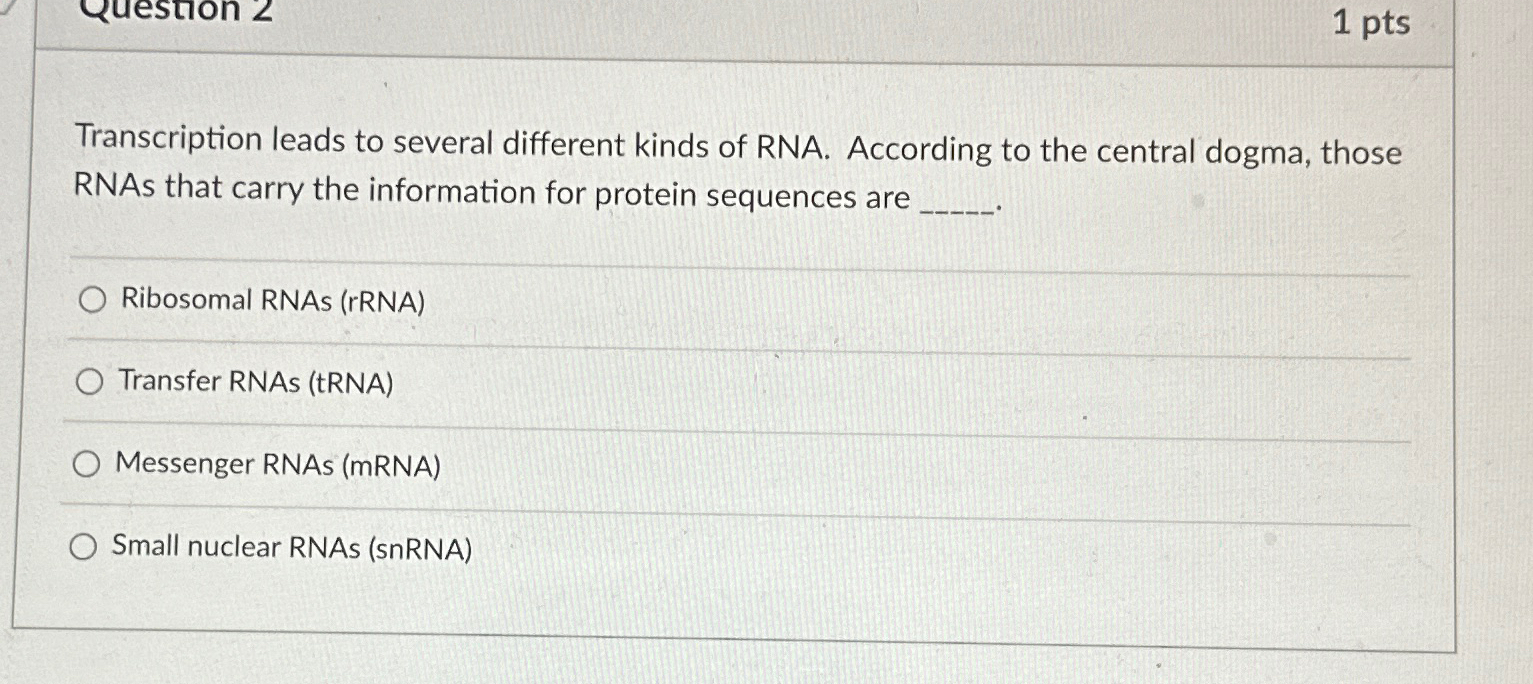 Solved Transcription leads to several different kinds of | Chegg.com