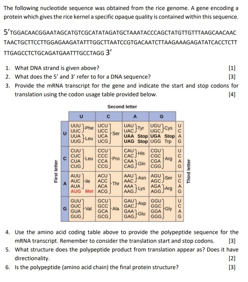 Solved The following nucleotide sequence was obtained from | Chegg.com
