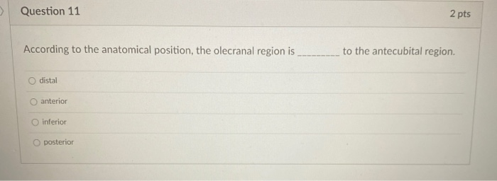 Solved > Question 11 2 pts According to the anatomical | Chegg.com