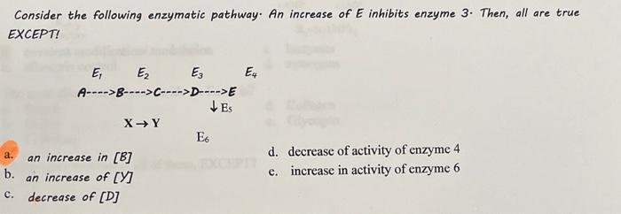 Consider the following enzymatic pathway. An increase | Chegg.com