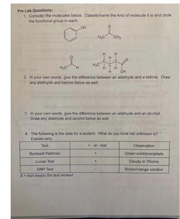 Solved Pre Lab Questions: 1. Consider the molecules below. | Chegg.com
