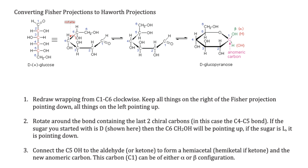 Solved Converting Fisher Projections to Haworth | Chegg.com