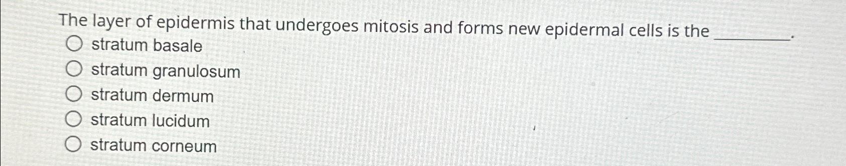 Solved The layer of epidermis that undergoes mitosis and | Chegg.com