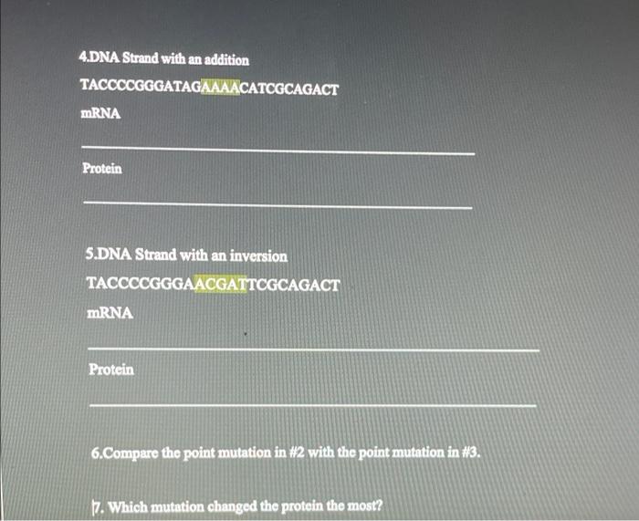 Solved Activity 3 Mutations Use the following stand of DNA | Chegg.com