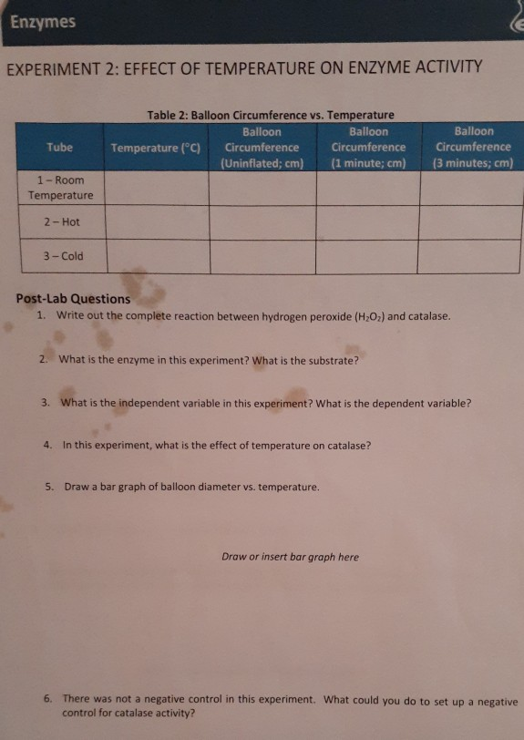 Solved EXPERIMENT 1: ENZYMES IN FOOD Substance Table 1: | Chegg.com