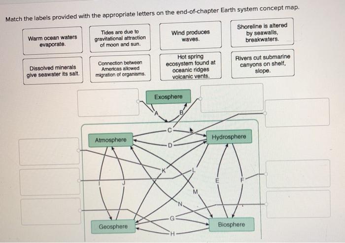 Solved Match the labels provided with the appropriate | Chegg.com